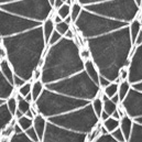 Surgical Mesh, polypropylene mesh, surgical mesh, skin tissue carrier ...